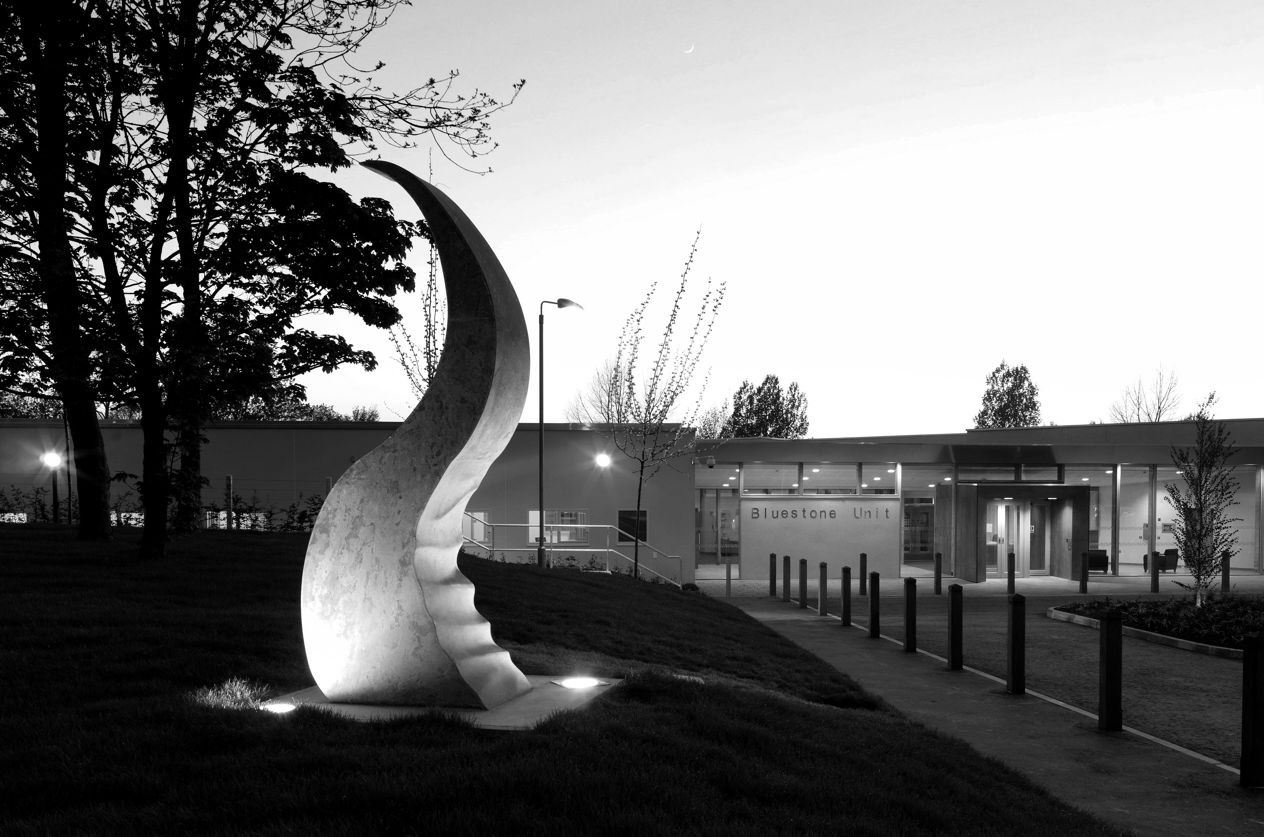 Bluestone Acute Psychiatric Unit - Hall Black Douglas Architects, Belfast