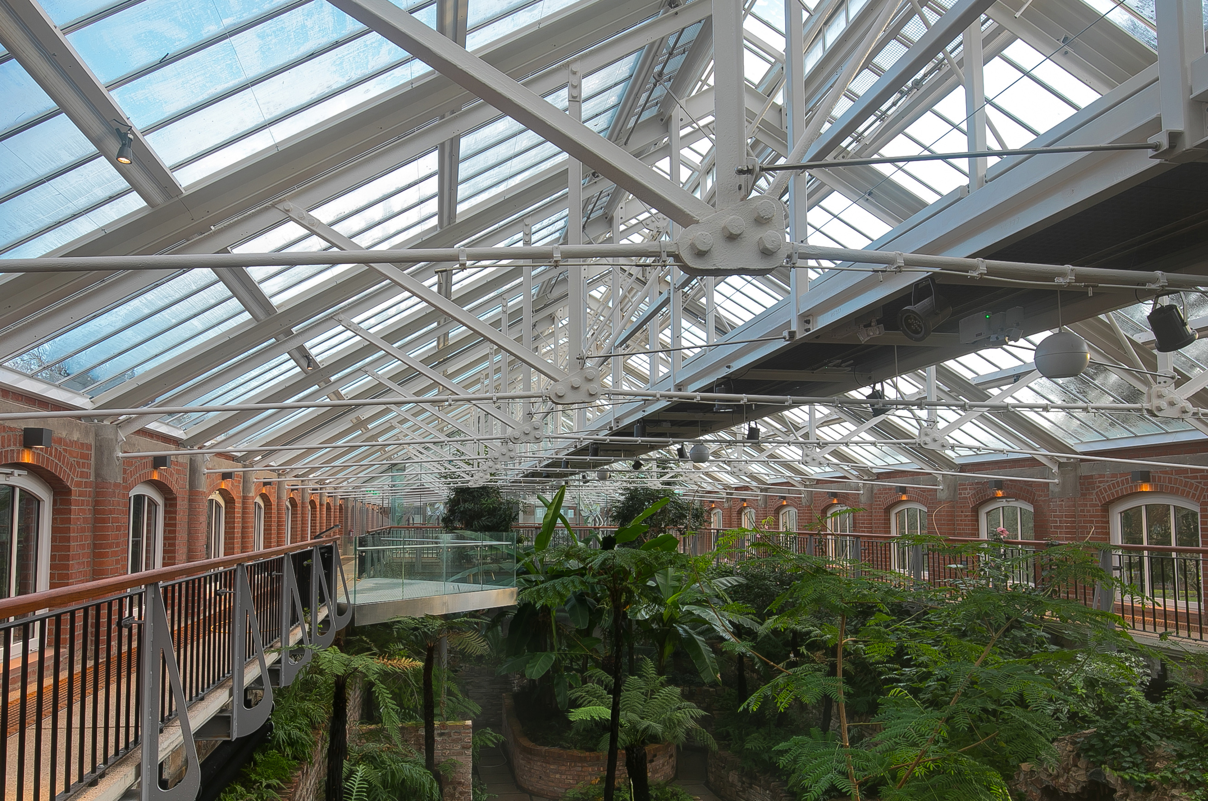 Tropical Ravine - Hall Black Douglas Architects, Belfast